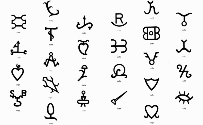 Hot-iron cattle branding: brand on the skin - Graphéine