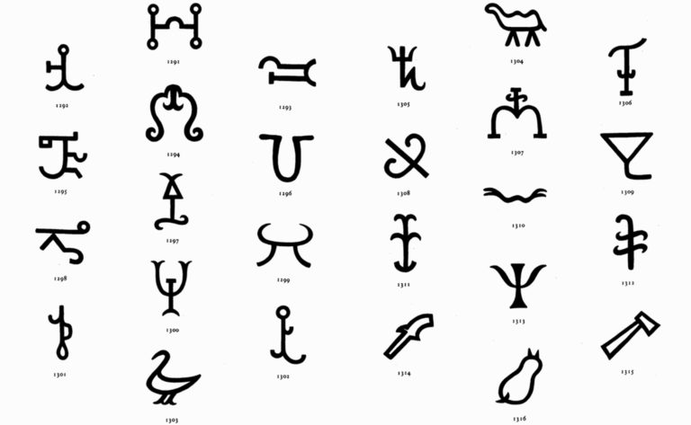 Hot-iron cattle branding: brand on the skin - Graphéine