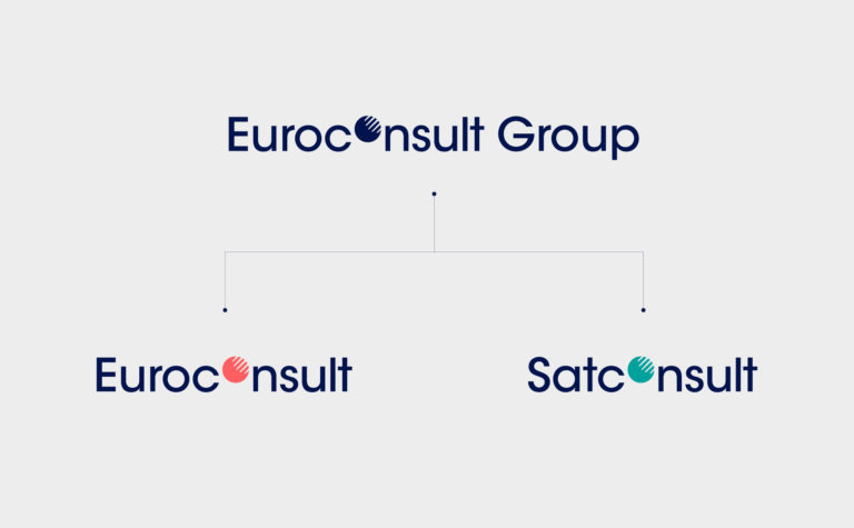 Euroconsult - Brand identity