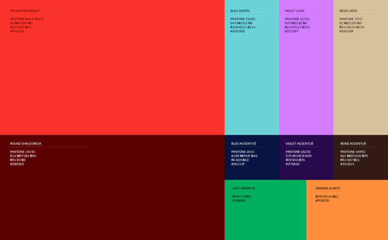 CadoMaestro - Brand identity